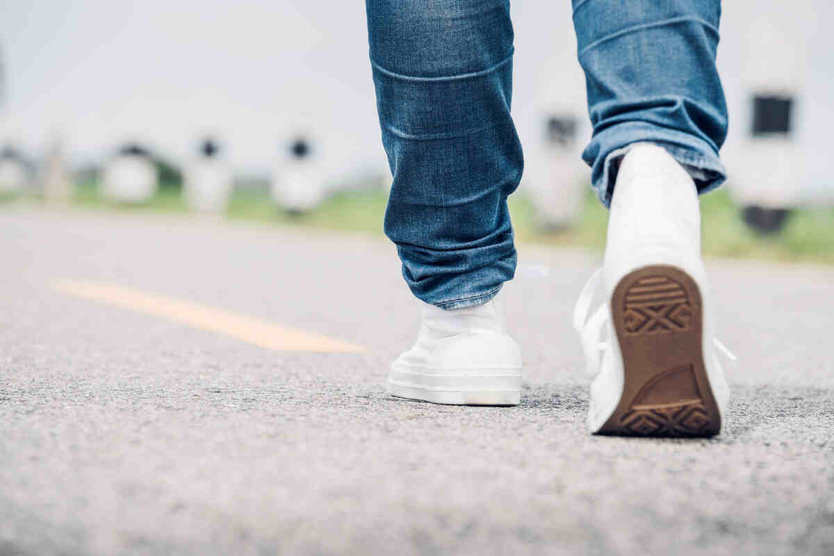 Walking News – Go Walking